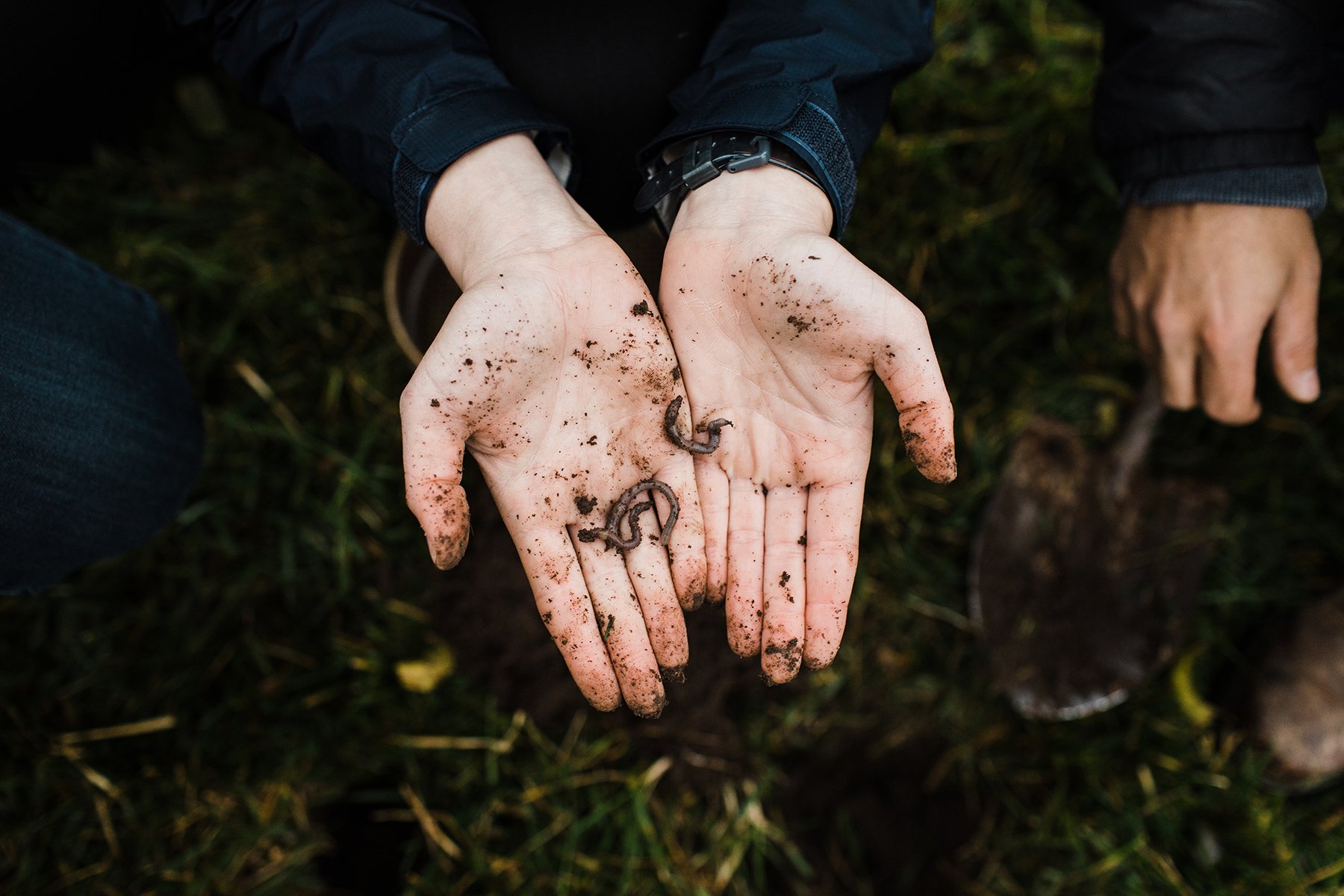 Cornell AgriTech – Allison Usavage