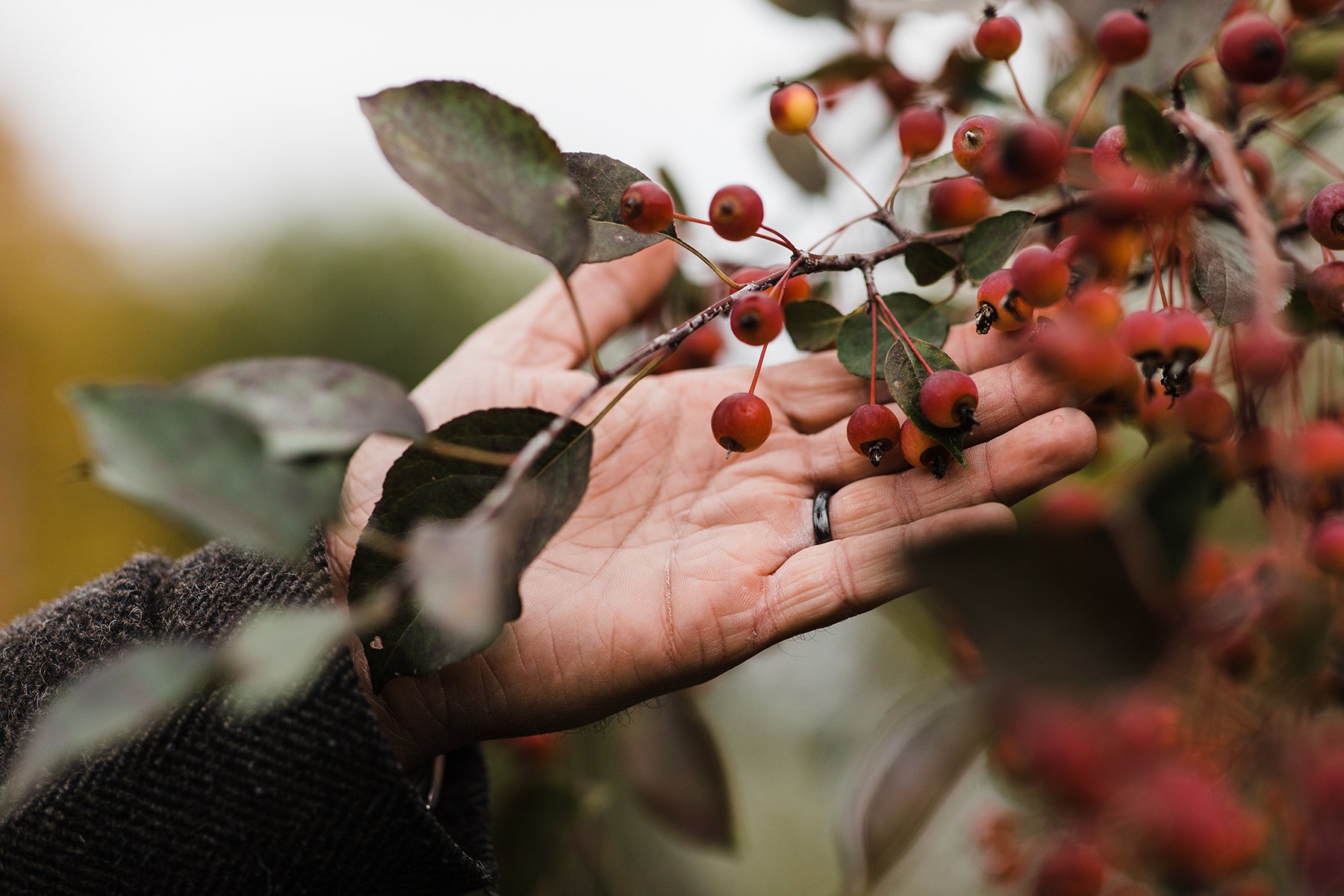 Cornell AgriTech – Allison Usavage