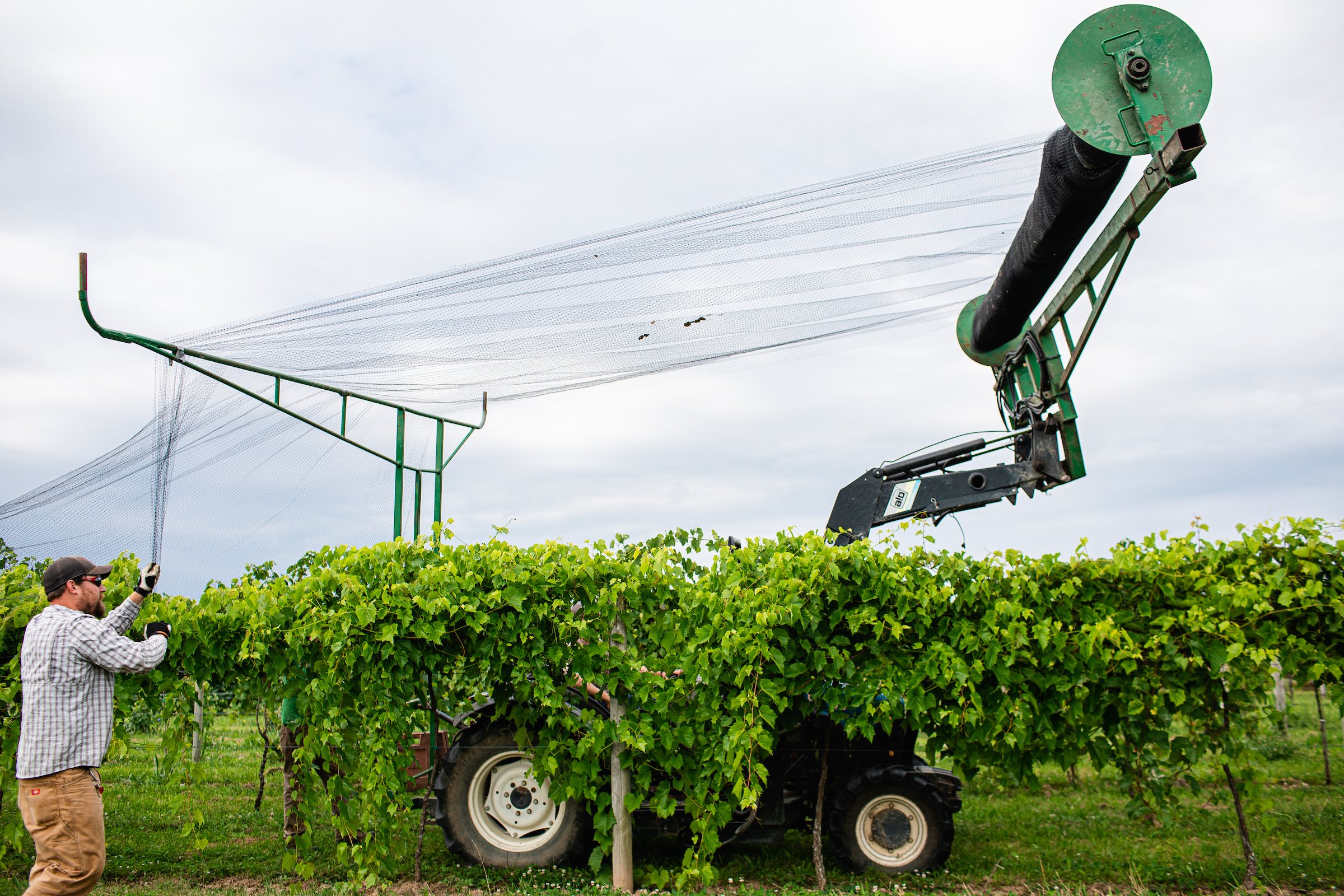 Cornell AgriTech – Allison Usavage